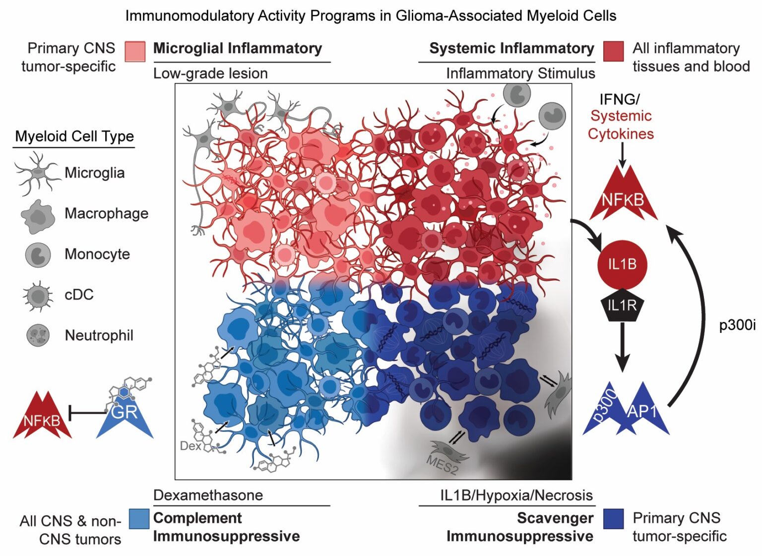 Ty Miller Lab - Ty Miller Laboratory